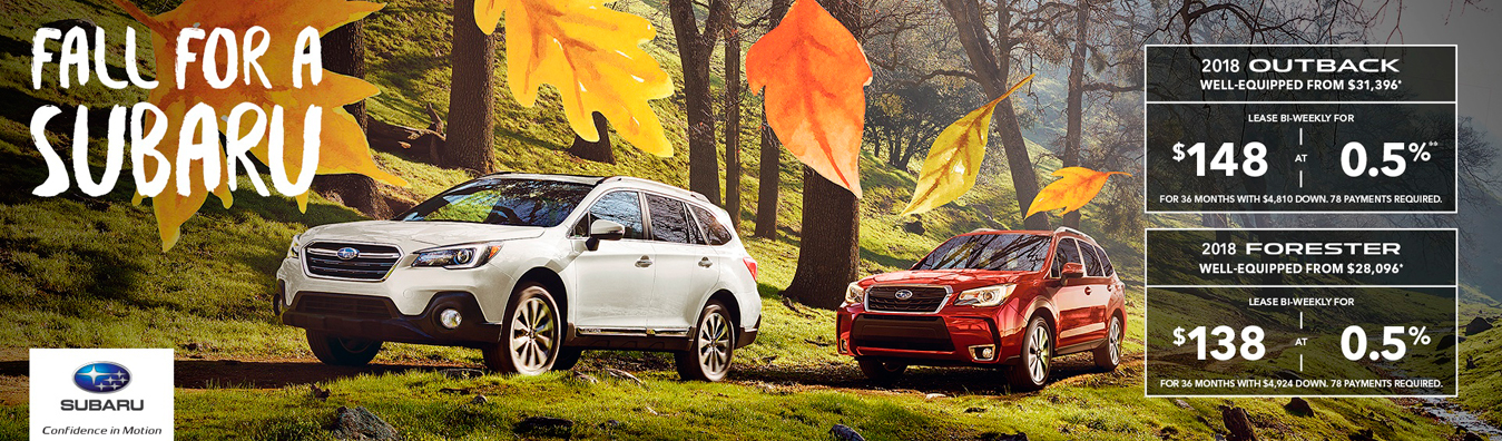 Alpha Auto Group Ontario | Driven to be Canada's Premier Auto Group